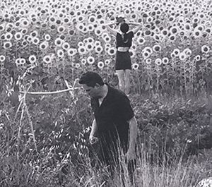 Jesu / Sun Kil Moon [Import]