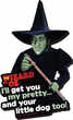 Wizard of Oz- Wicked Witch of the West Funky Chunky Magnet. I'll get
